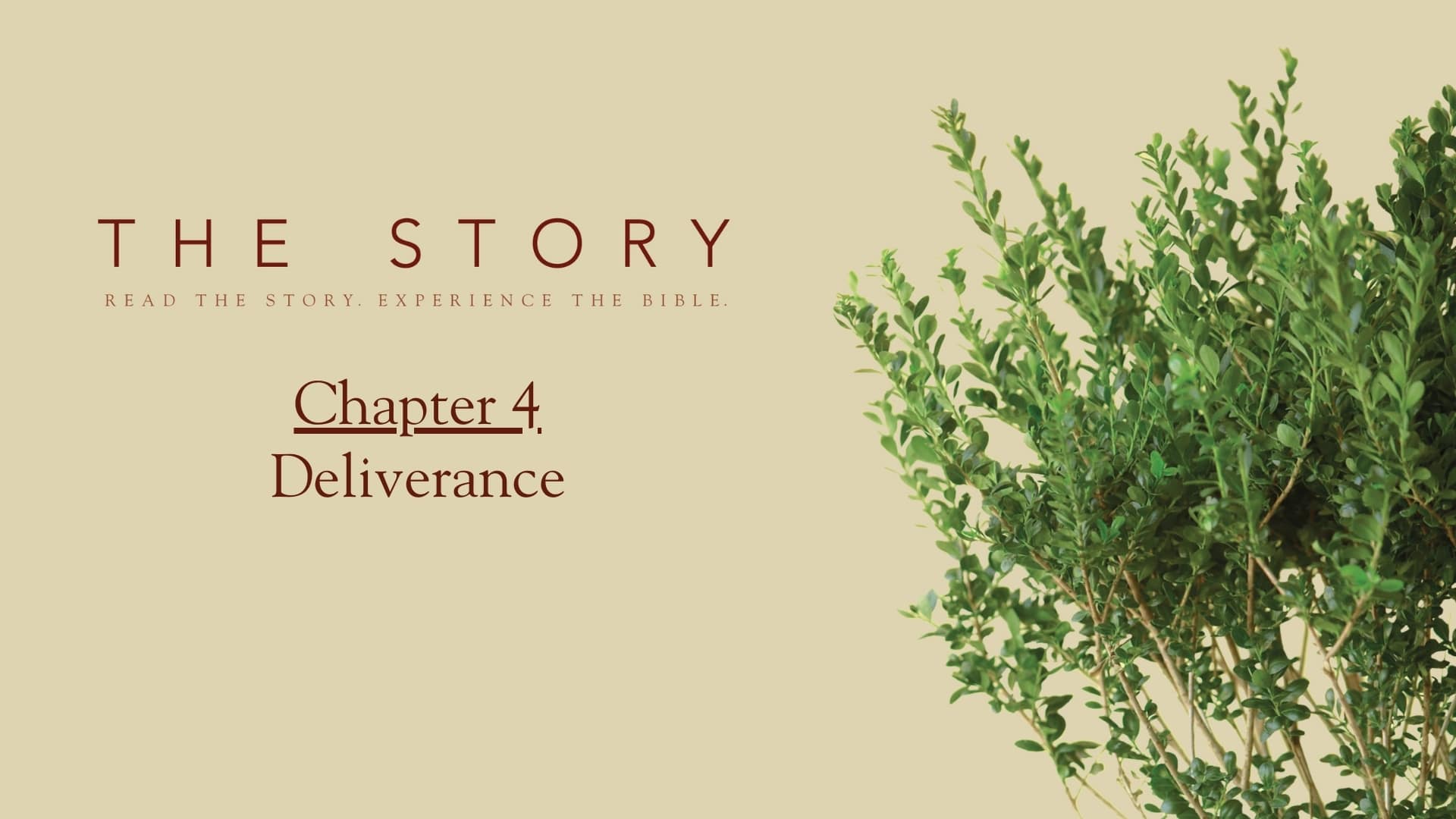 Deliverance (The Story - Chapter 4) - St. Matthew Lutheran Church